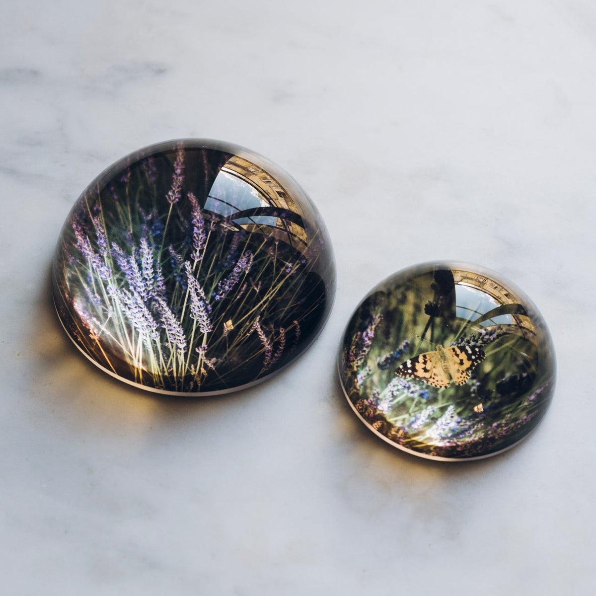 Drops of Provence Paperweight Set • Lavender – Jamie Beck