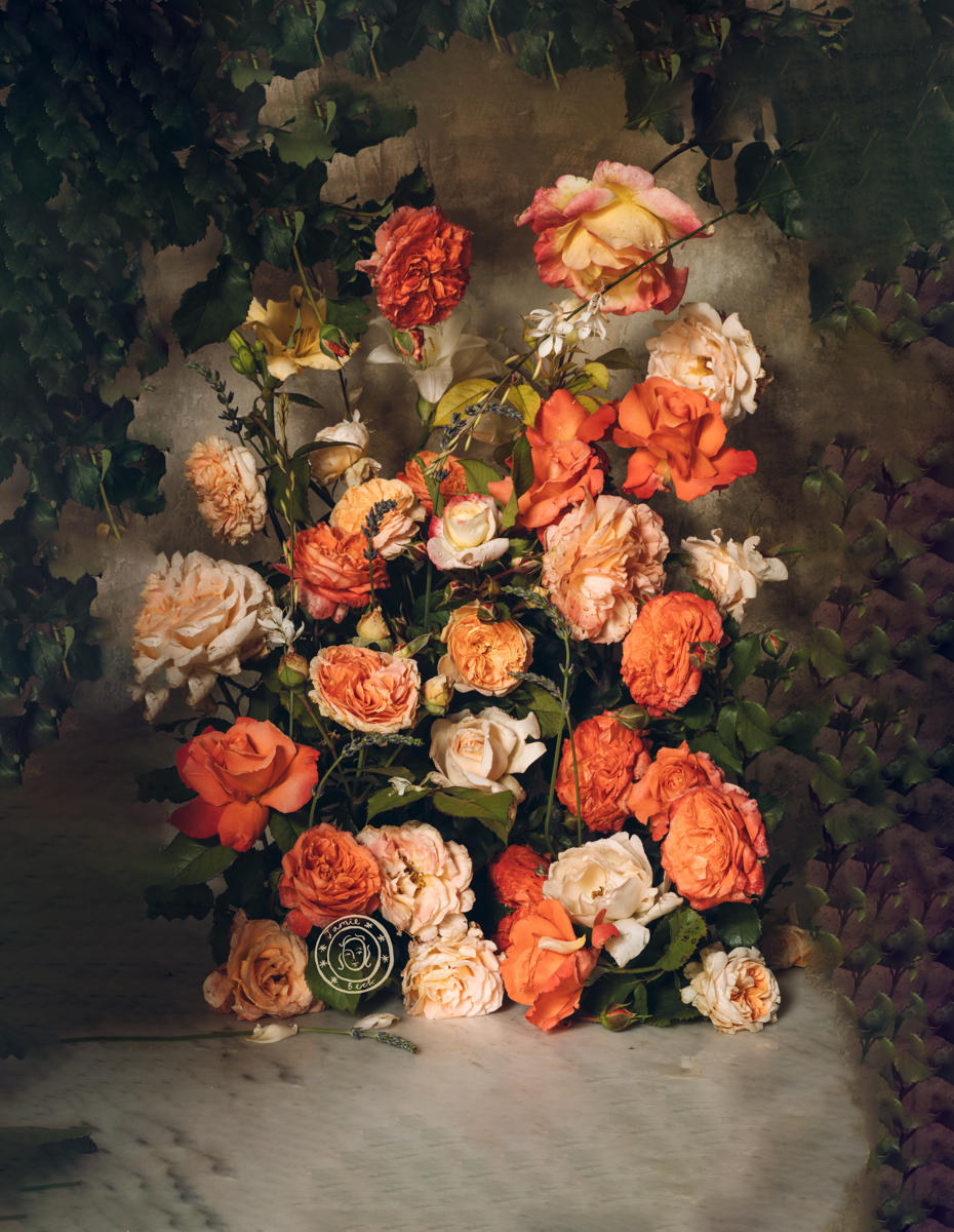 The Flowers of Provence Book Cover – Jamie Beck