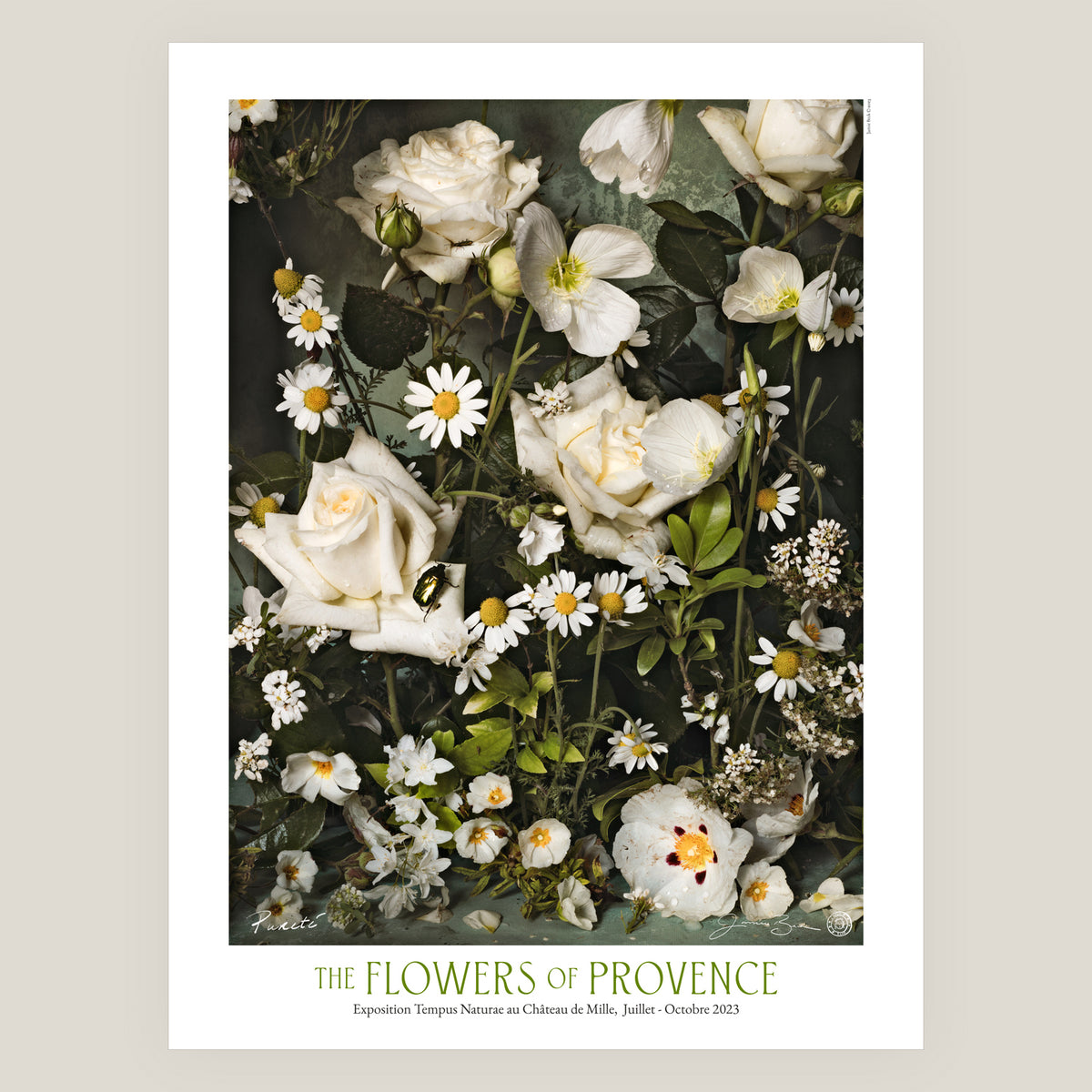 Purity • Exhibition Poster – Jamie Beck