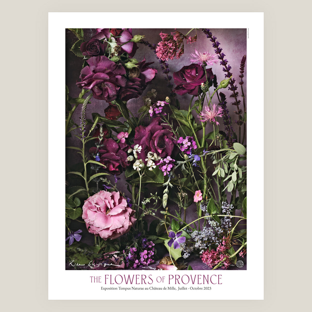 Purple Hearts • Exhibition Poster – Jamie Beck