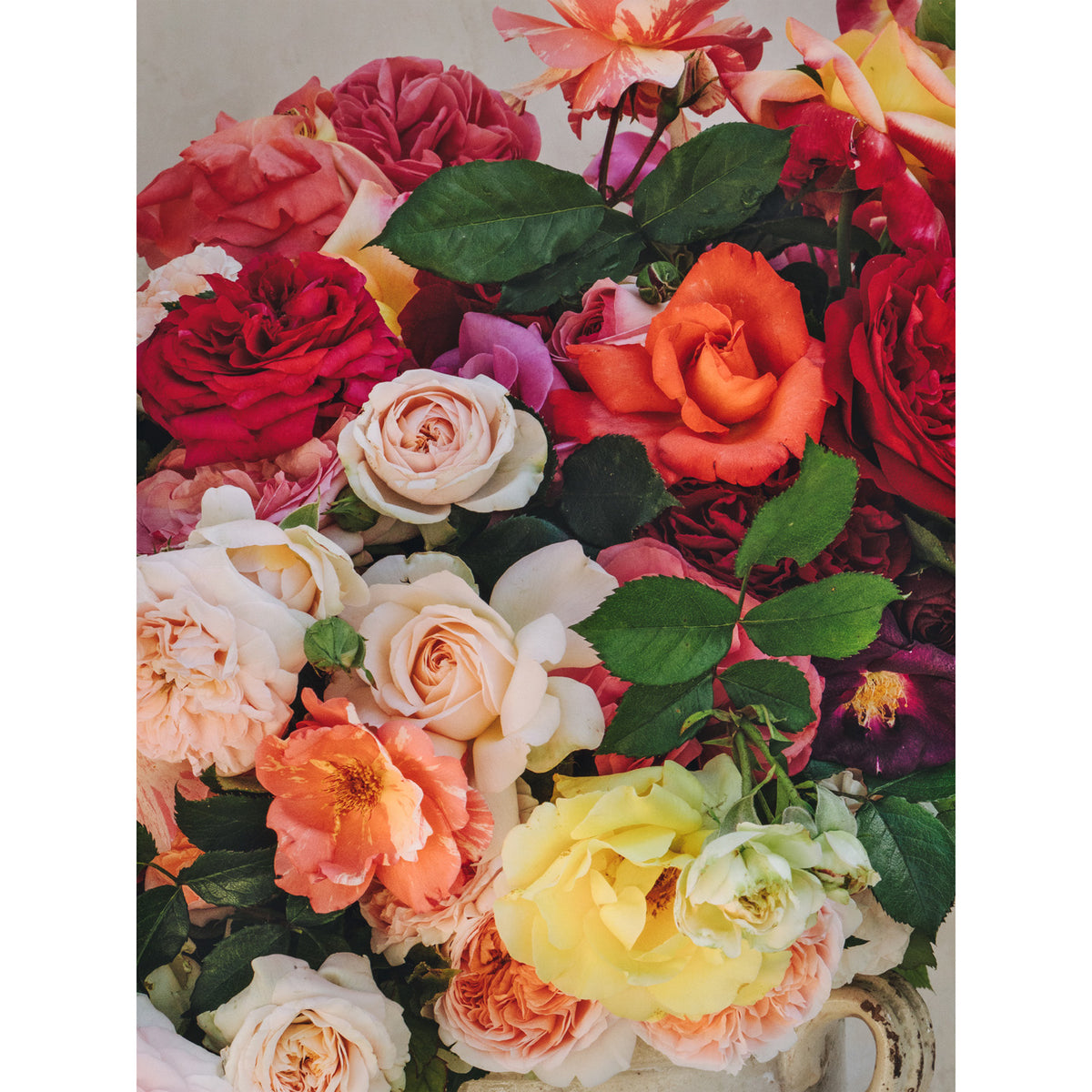 Jamie Beck Fine Art Print - The Flowers of Provence