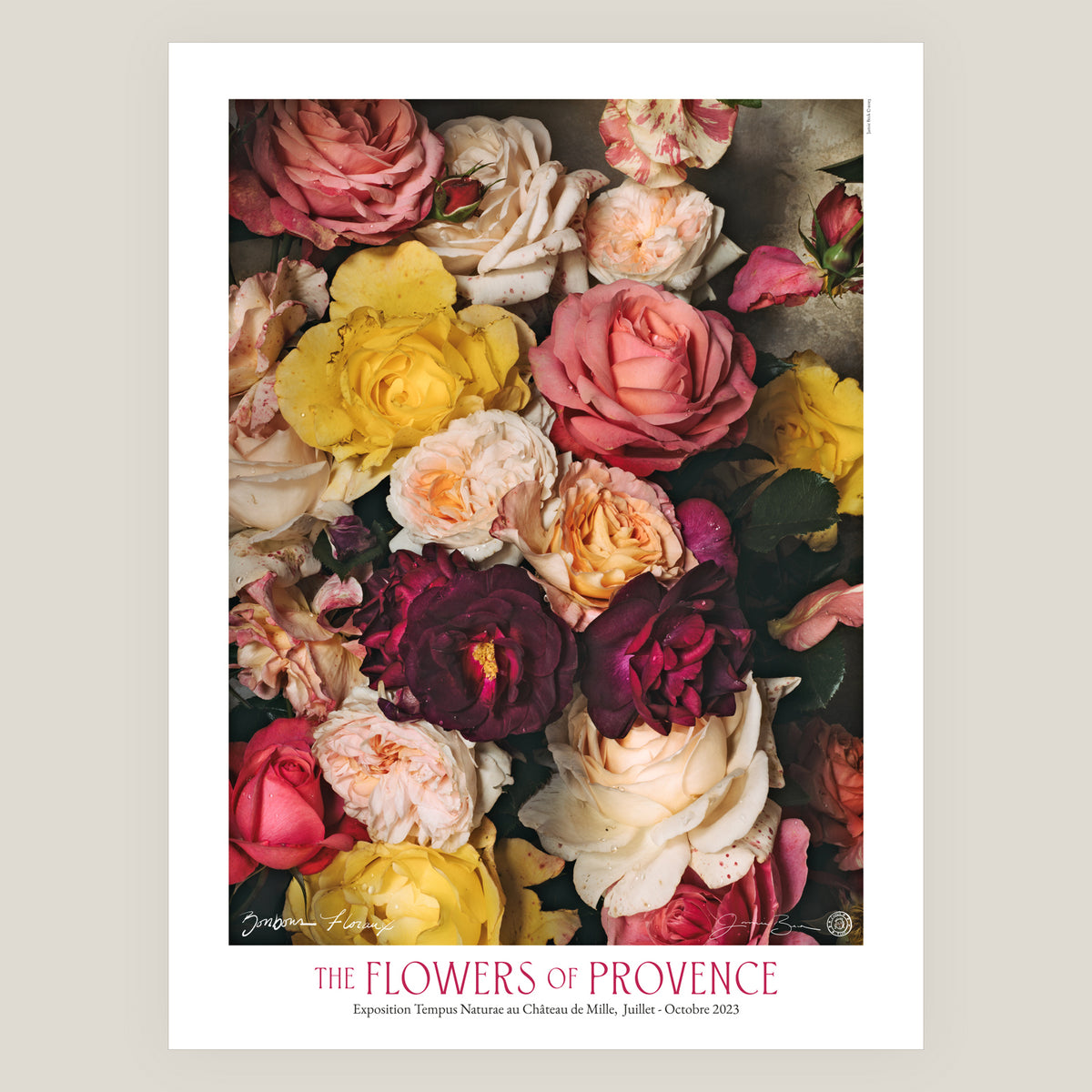 Floral Candy • Exhibition Poster – Jamie Beck