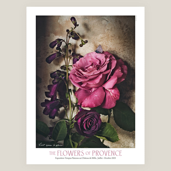 All Big Posters – Jamie Beck