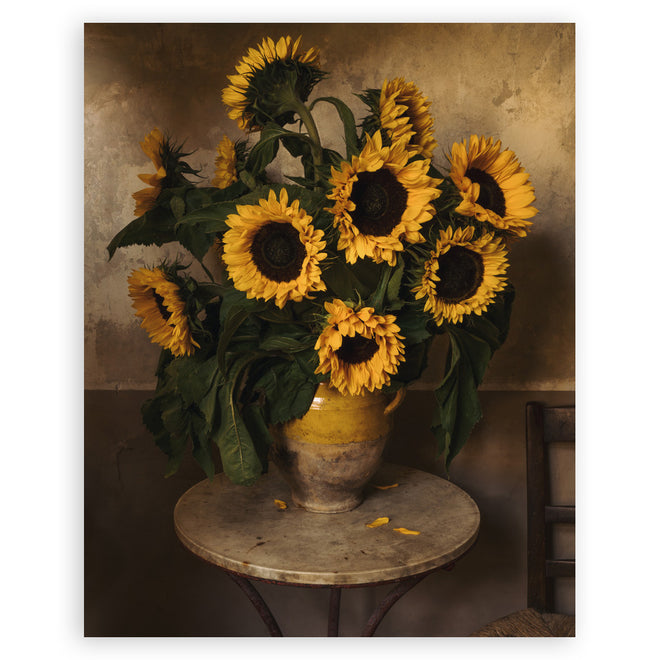 The Flowers of Provence • Book Posters – Jamie Beck