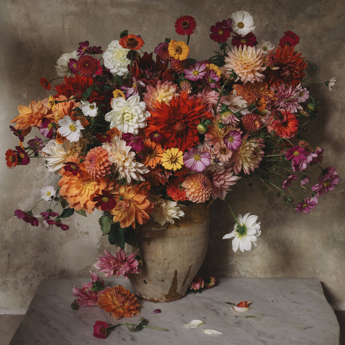 Dahlia IV Poster – Jamie Beck