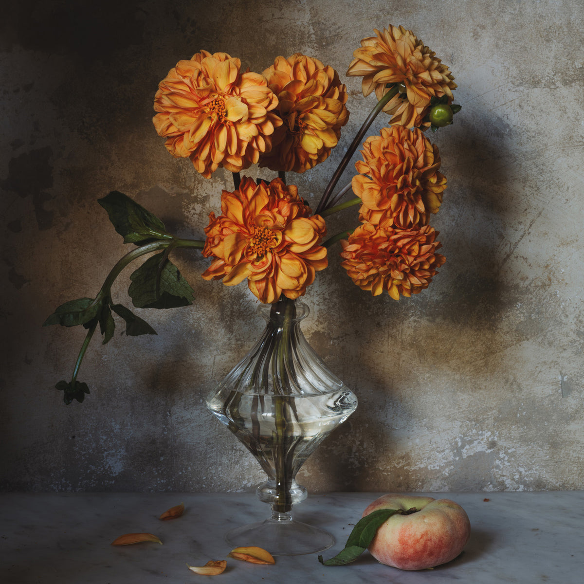 Dahlia in Glass Print – Jamie Beck