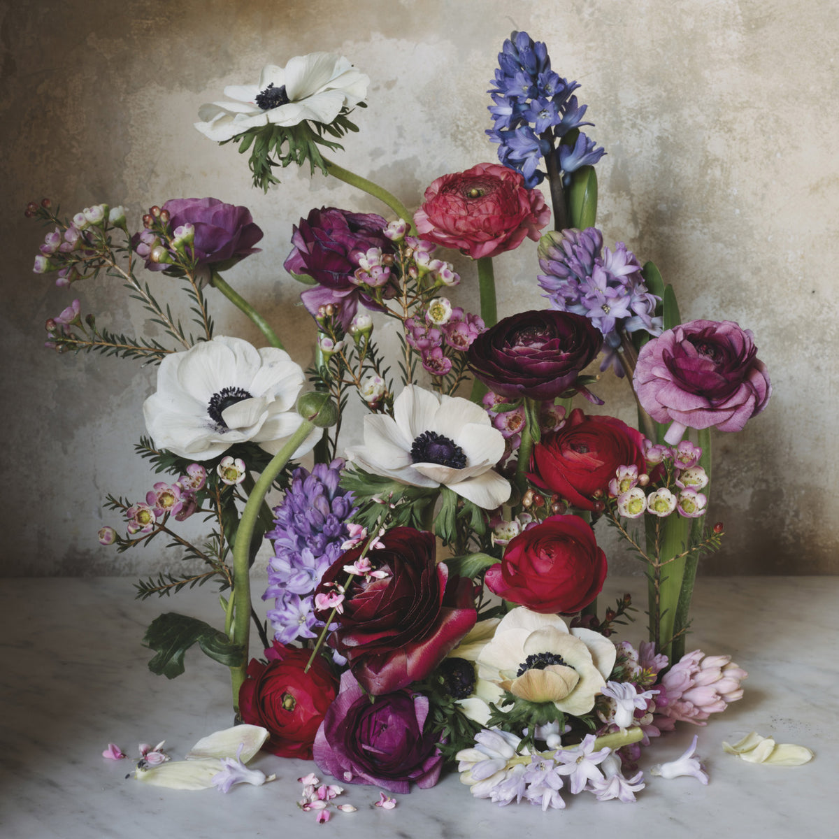 February Still Life Print – Jamie Beck