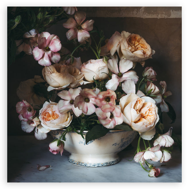 The Flowers of Provence • Book Posters – Jamie Beck