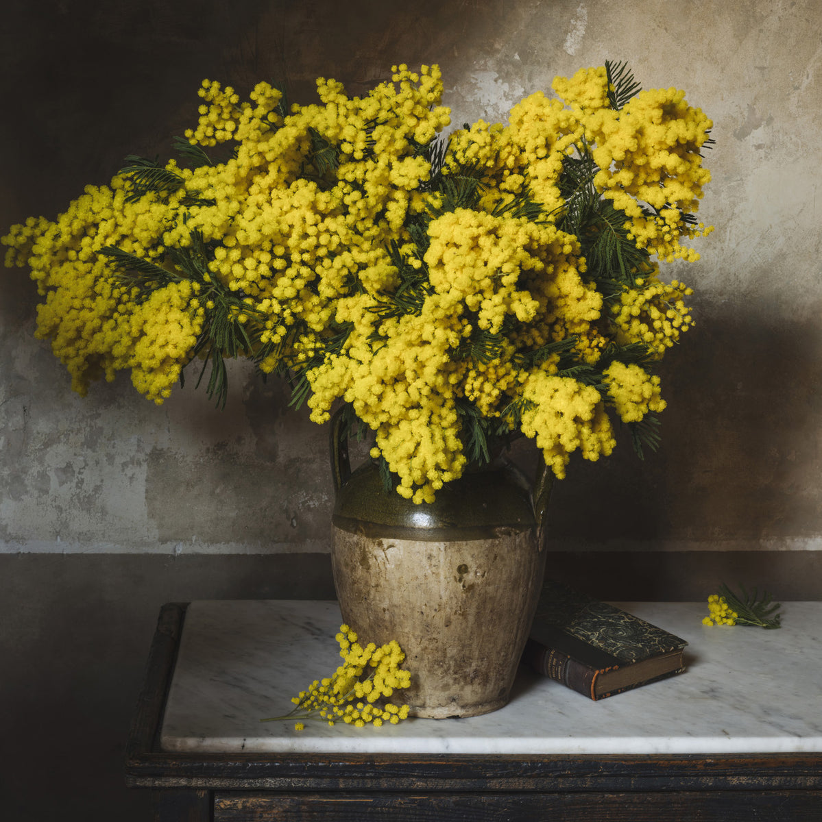 Mimosa Print – Jamie Beck