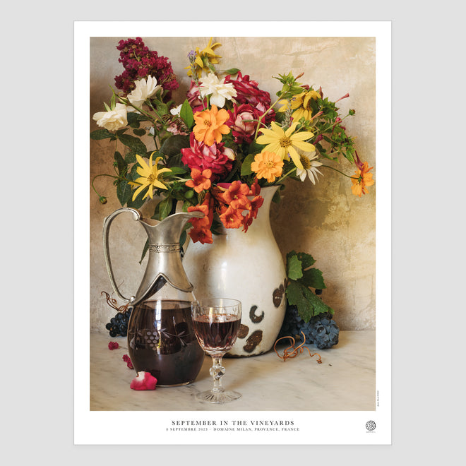 All Big Posters – Jamie Beck