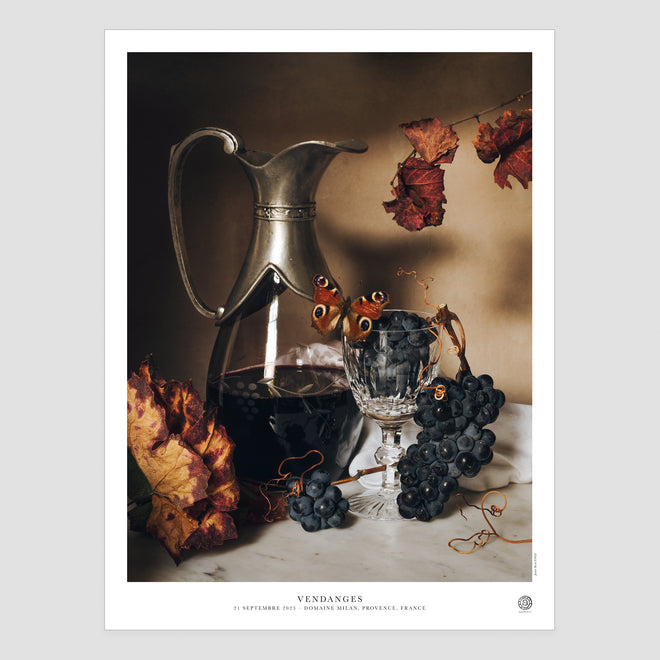 All Big Posters – Jamie Beck