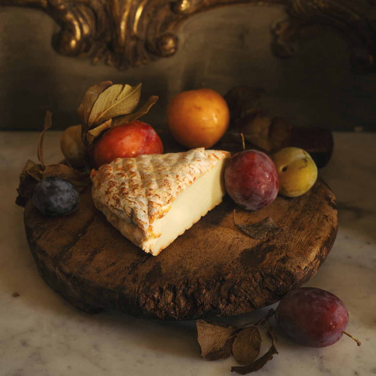 Cheese with Plums • Print – Jamie Beck