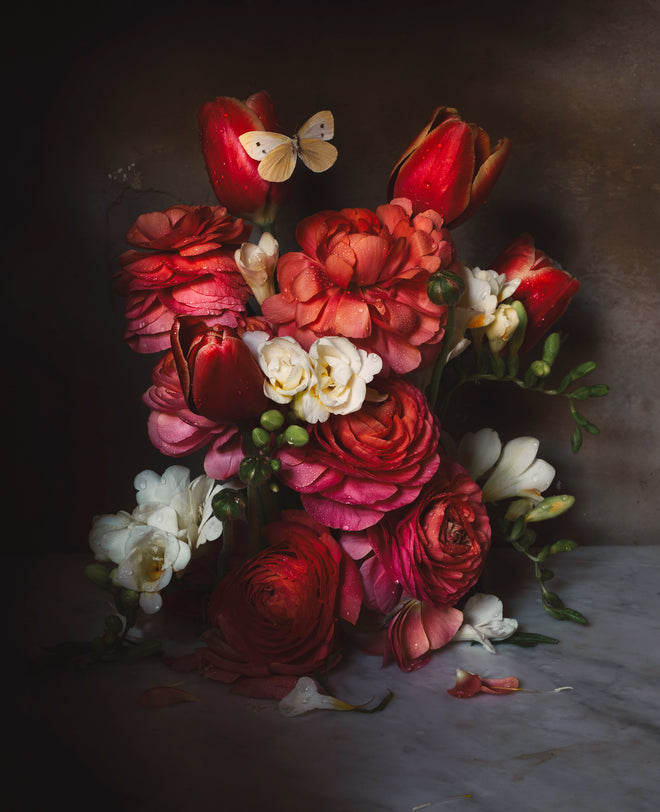 #ISOLATIONCREATION Gallery Exhibition – Jamie Beck