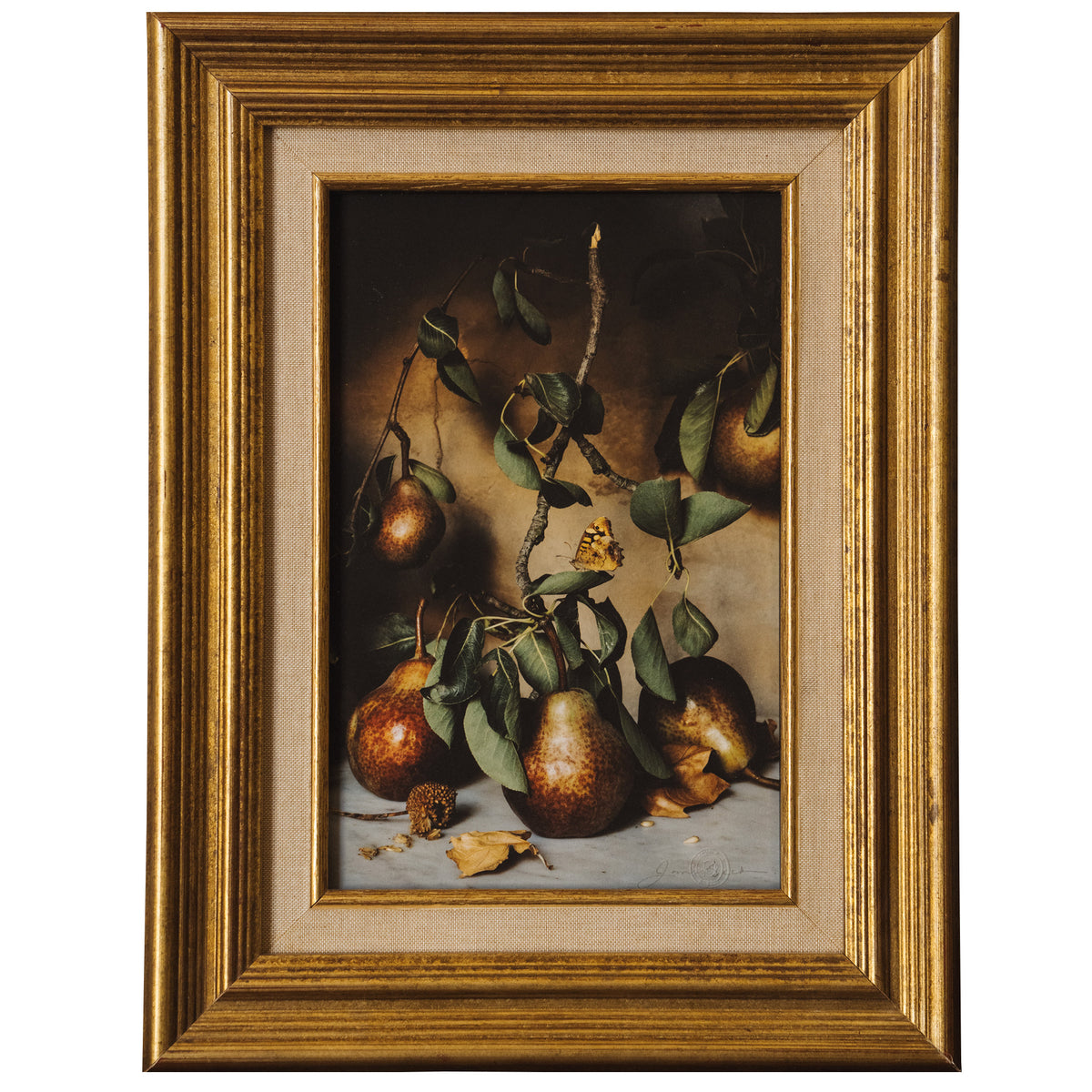 Jamie Beck Fine Art Framed Masterwork From her book, An American In ...