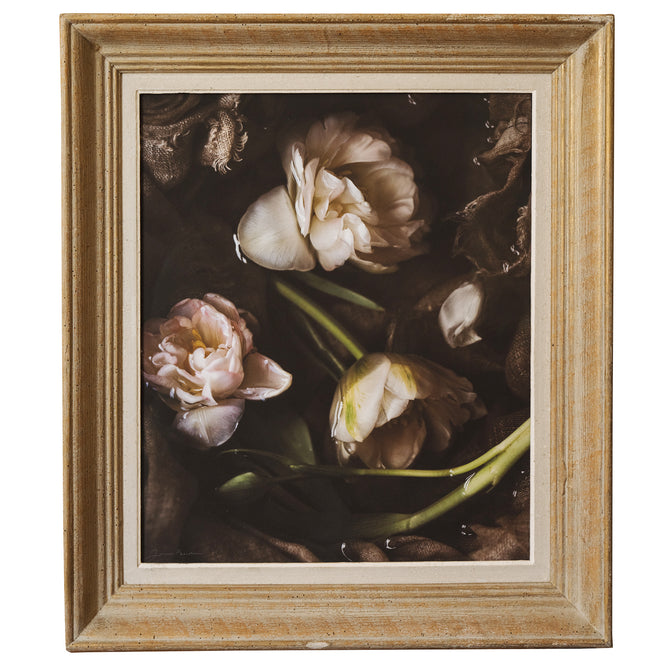 An American in Provence Exhibition – Jamie Beck