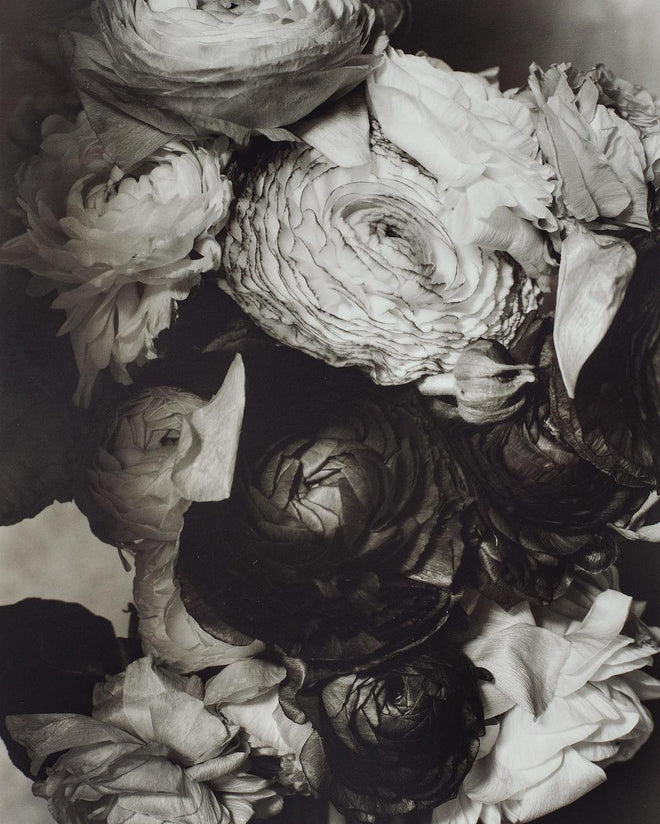 Darkroom Prints – Jamie Beck