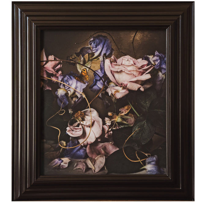 An American in Provence Exhibition – Jamie Beck