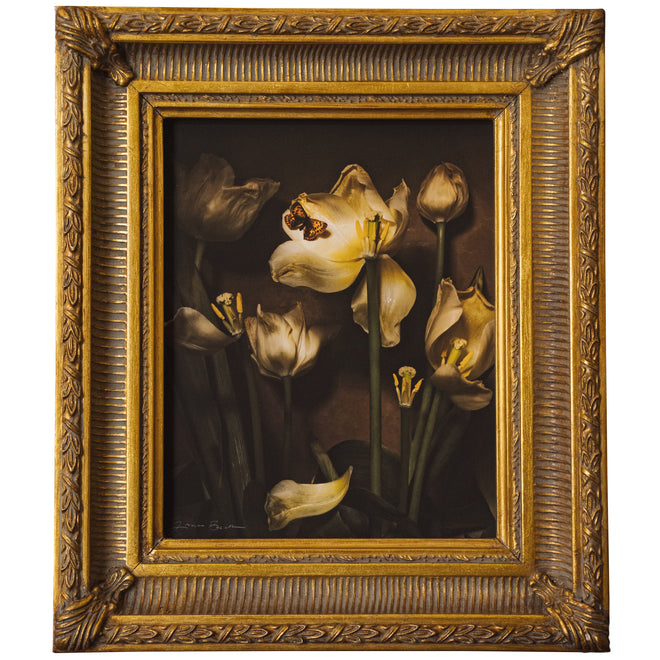 An American in Provence Exhibition – Jamie Beck