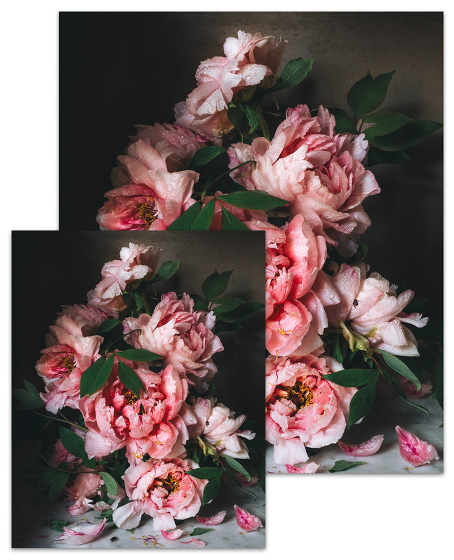 All Posters – Jamie Beck