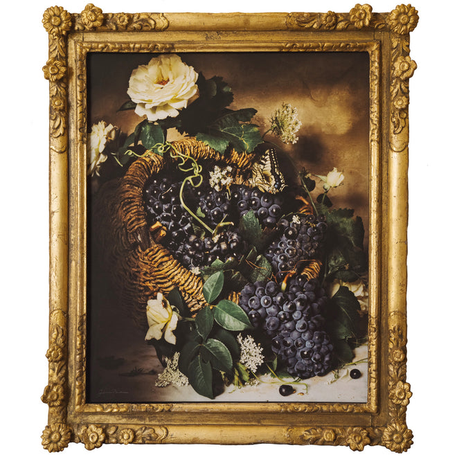 An American in Provence Exhibition – Jamie Beck