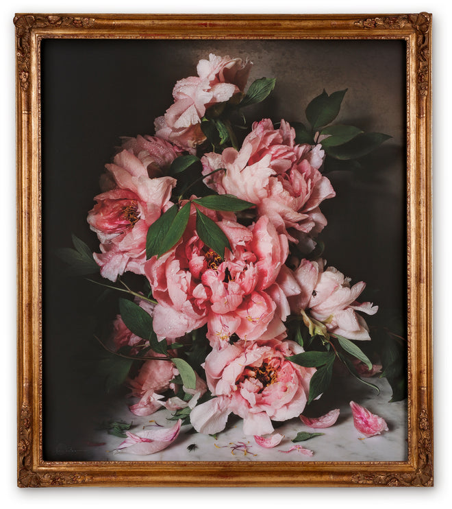 #ISOLATIONCREATION Gallery Exhibition – Jamie Beck