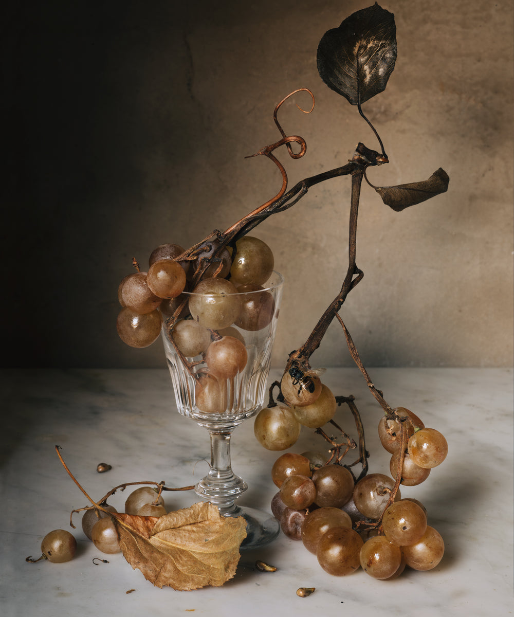 Still Life with Market Grapes and Bee - Artist Proof – Jamie Beck