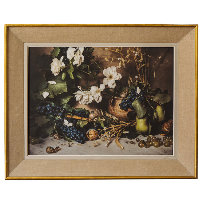 An American in Provence Exhibition – Jamie Beck