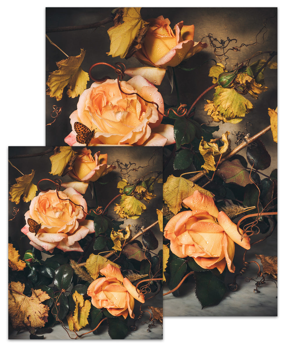 Day Sixty-nine Small Poster – Jamie Beck