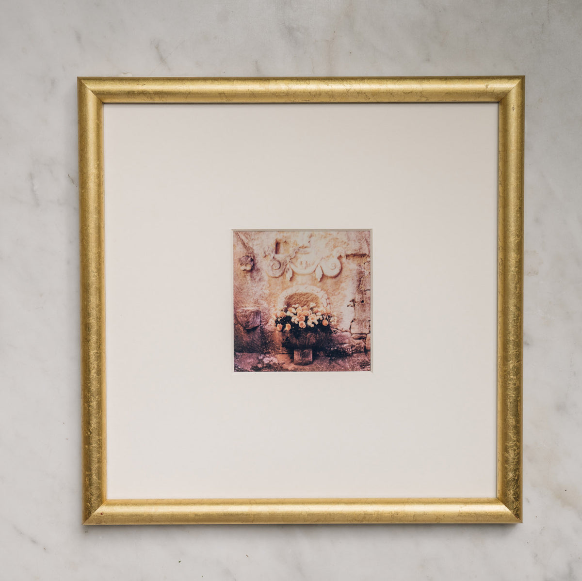 Jamie Beck Framed Polaroid Studio Artifact Rose Month Flowers