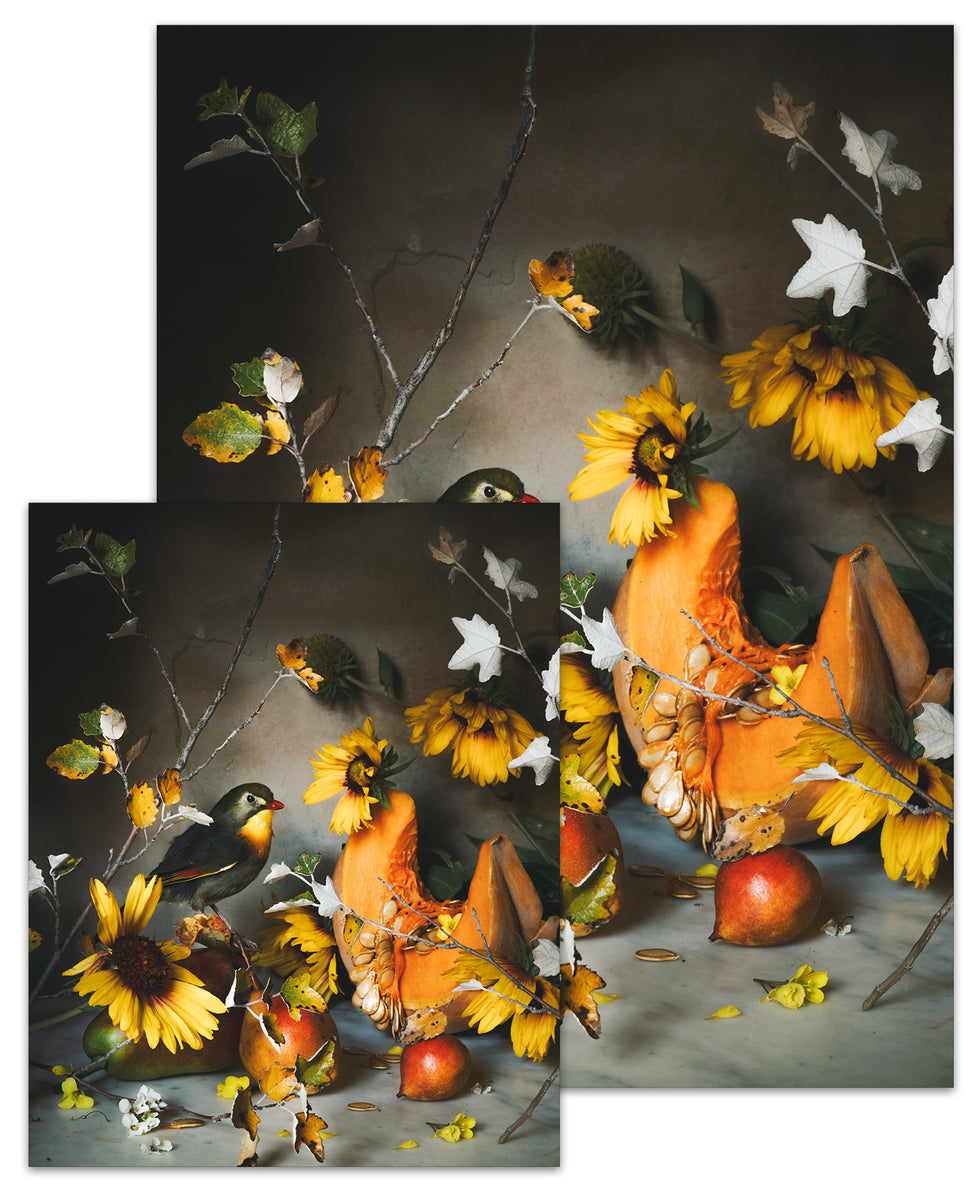 Day Eighty Small Poster – Jamie Beck