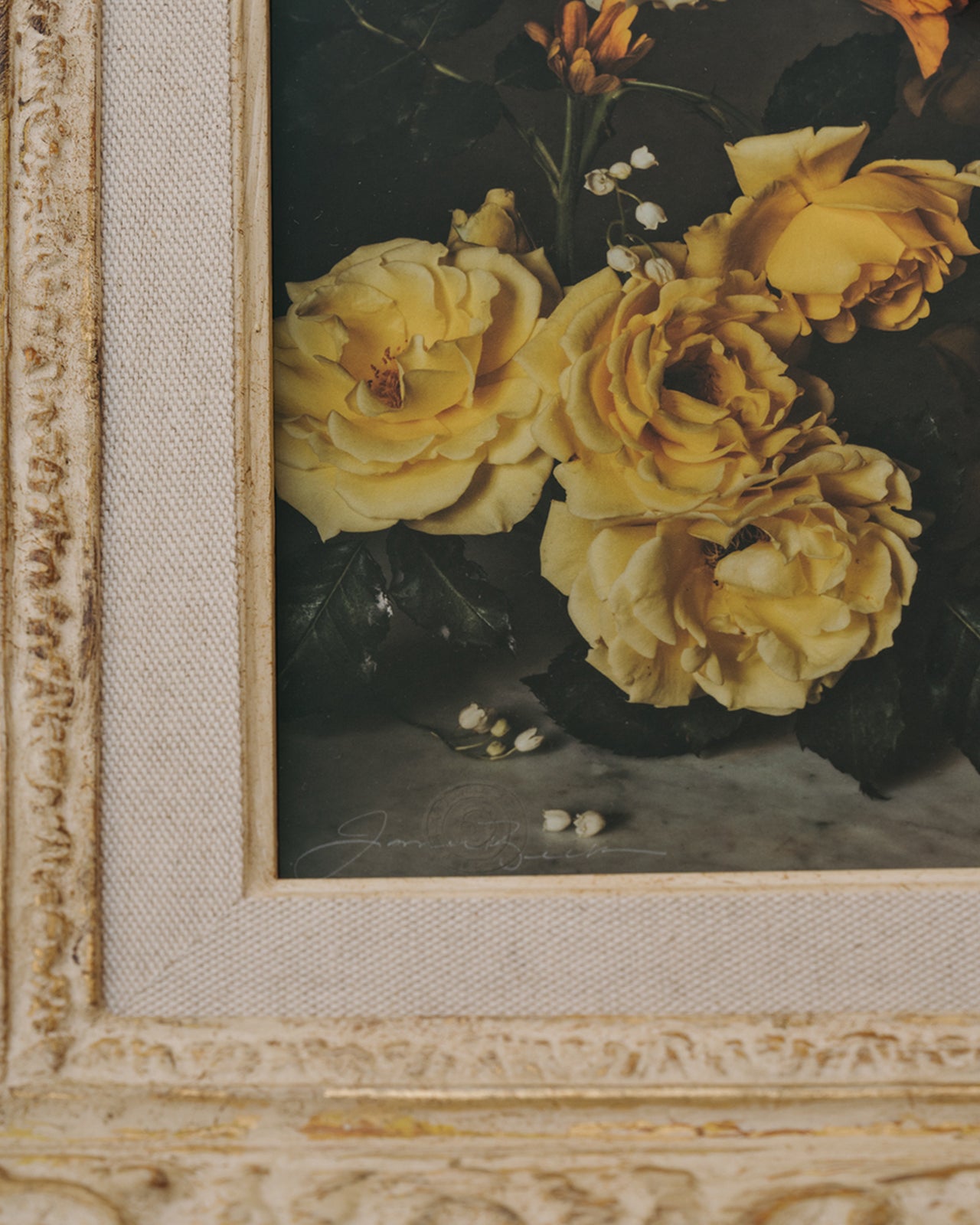 Framed Masterwork - Rose Month Day Nine – Jamie Beck