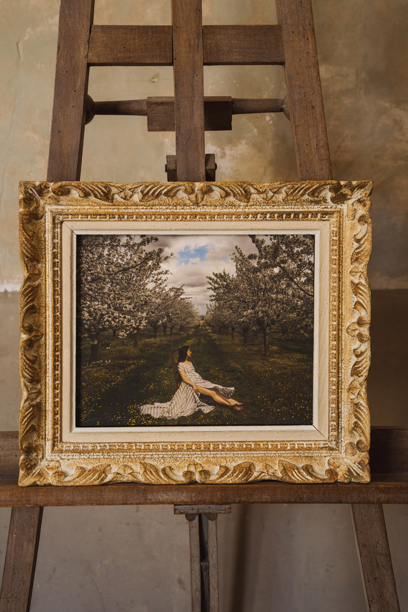 Jamie Beck Fine Art Framed Masterwork From her book, An American In ...
