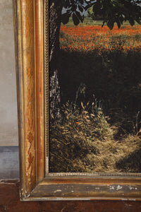 Jamie Beck Fine Art Framed Masterwork From her book, An American In ...