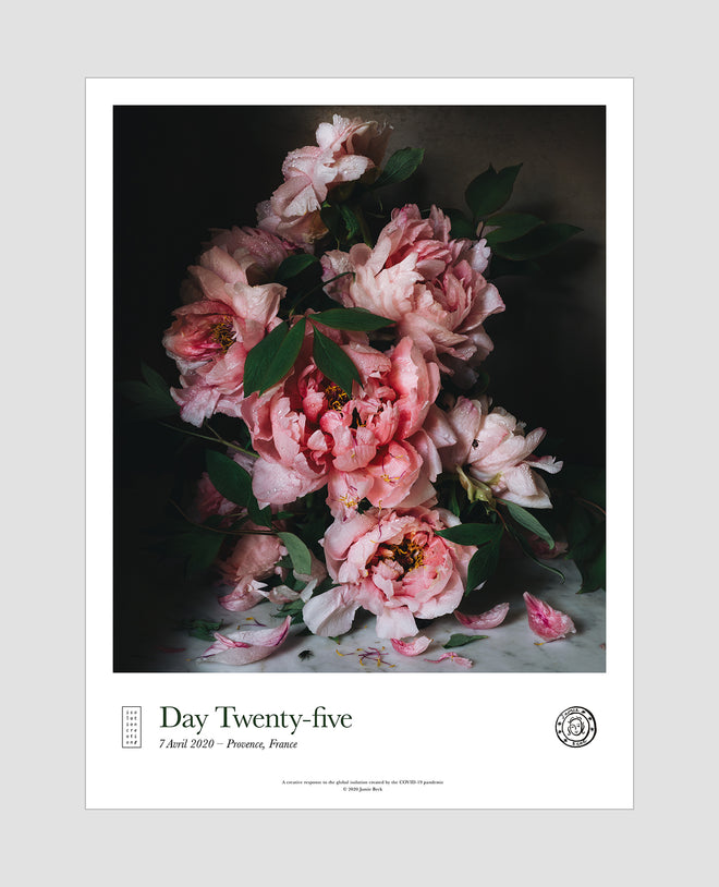 All Posters – Jamie Beck