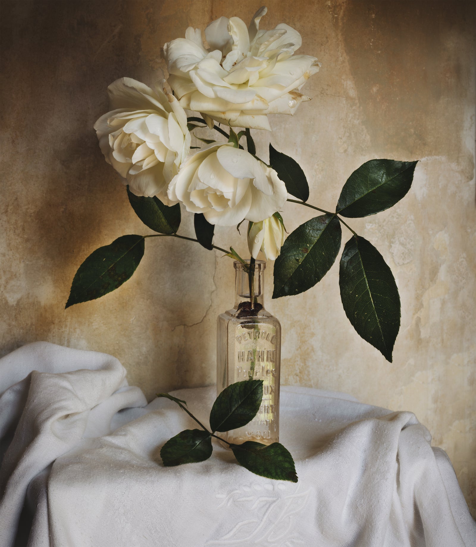 Day Forty-one Poster – Jamie Beck