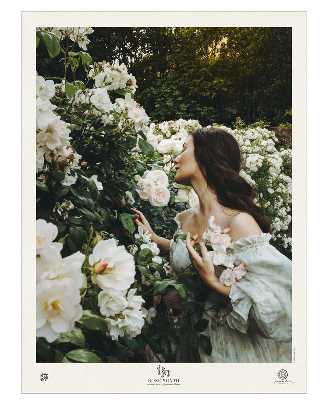 All Big Posters – Jamie Beck