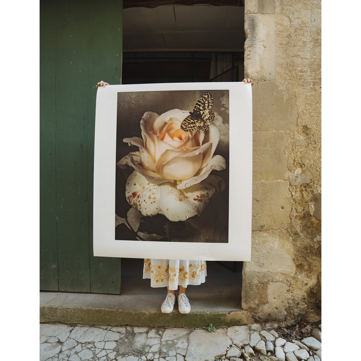 Jamie Beck Fine Art Print - The Flowers of Provence