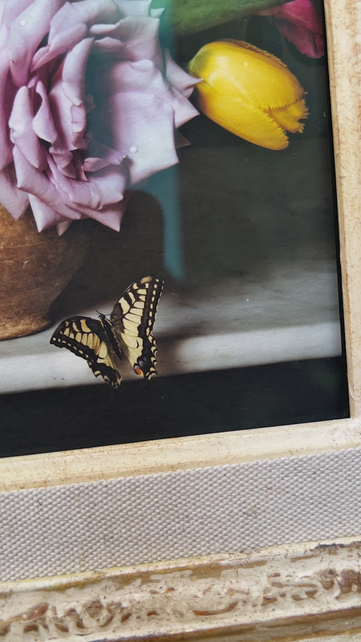 Framed Masterwork - Rose Month Day Two – Jamie Beck