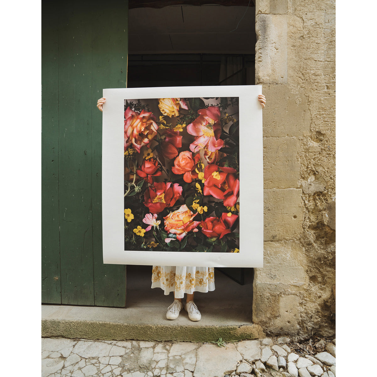 Jamie Beck Fine Art Print - The Flowers of Provence