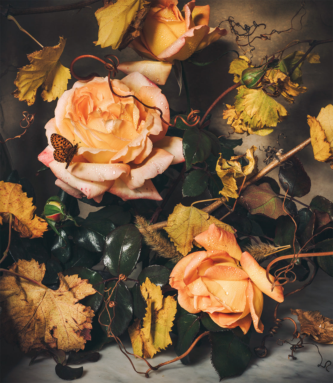 Day Sixty-nine Poster – Jamie Beck